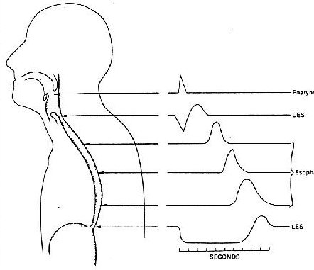 Manometria Esofágica • Nuvem Medicina