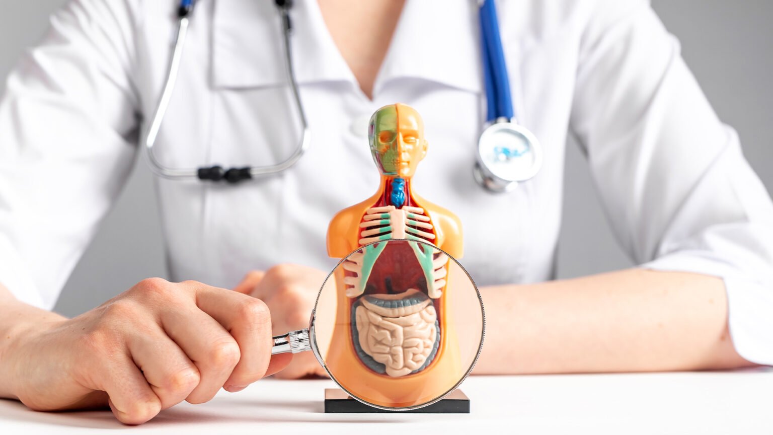 Para Que Serve E Como é Feito O Exame De Manometria Anorretal? • Nuvem ...